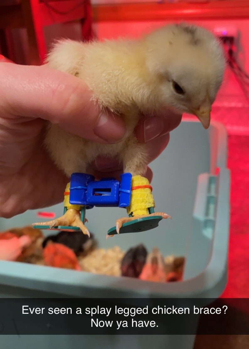 Chick Splint and Splayed Leg Spacer Pack! New Style!! - Etsy