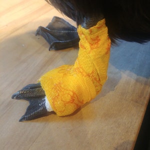 Duck Splint-customized to Your Size Needed (SINGLE SPLINT) - Etsy