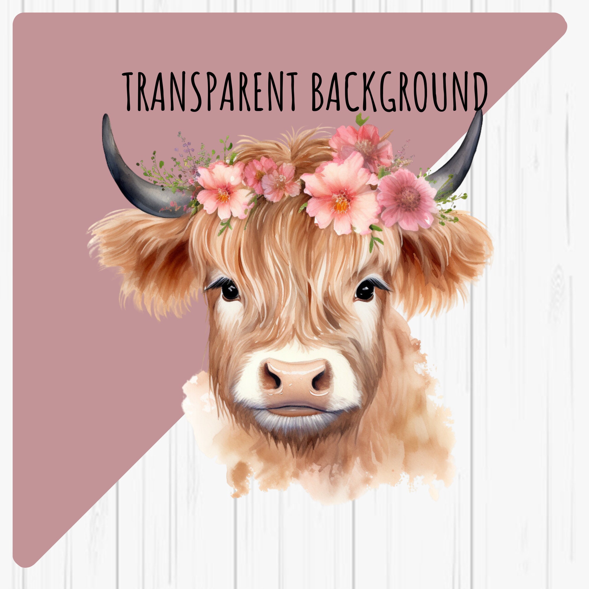 Watercolor Highland Cow 10pc PNG | Cute Boho Highland Cow | Commercial ...