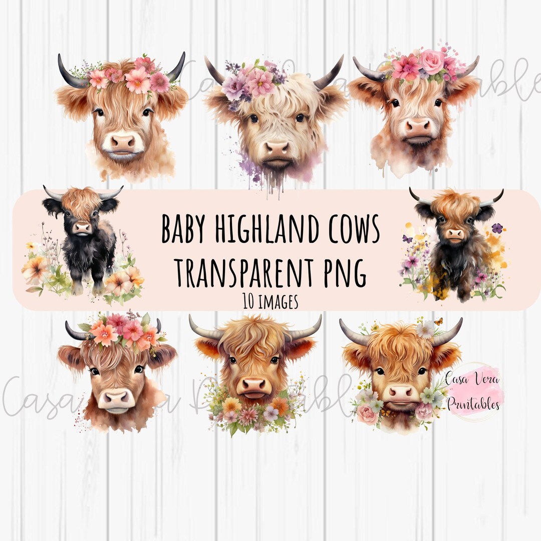 Watercolor Highland Cow 10pc PNG | Cute Boho Highland Cow | Commercial ...