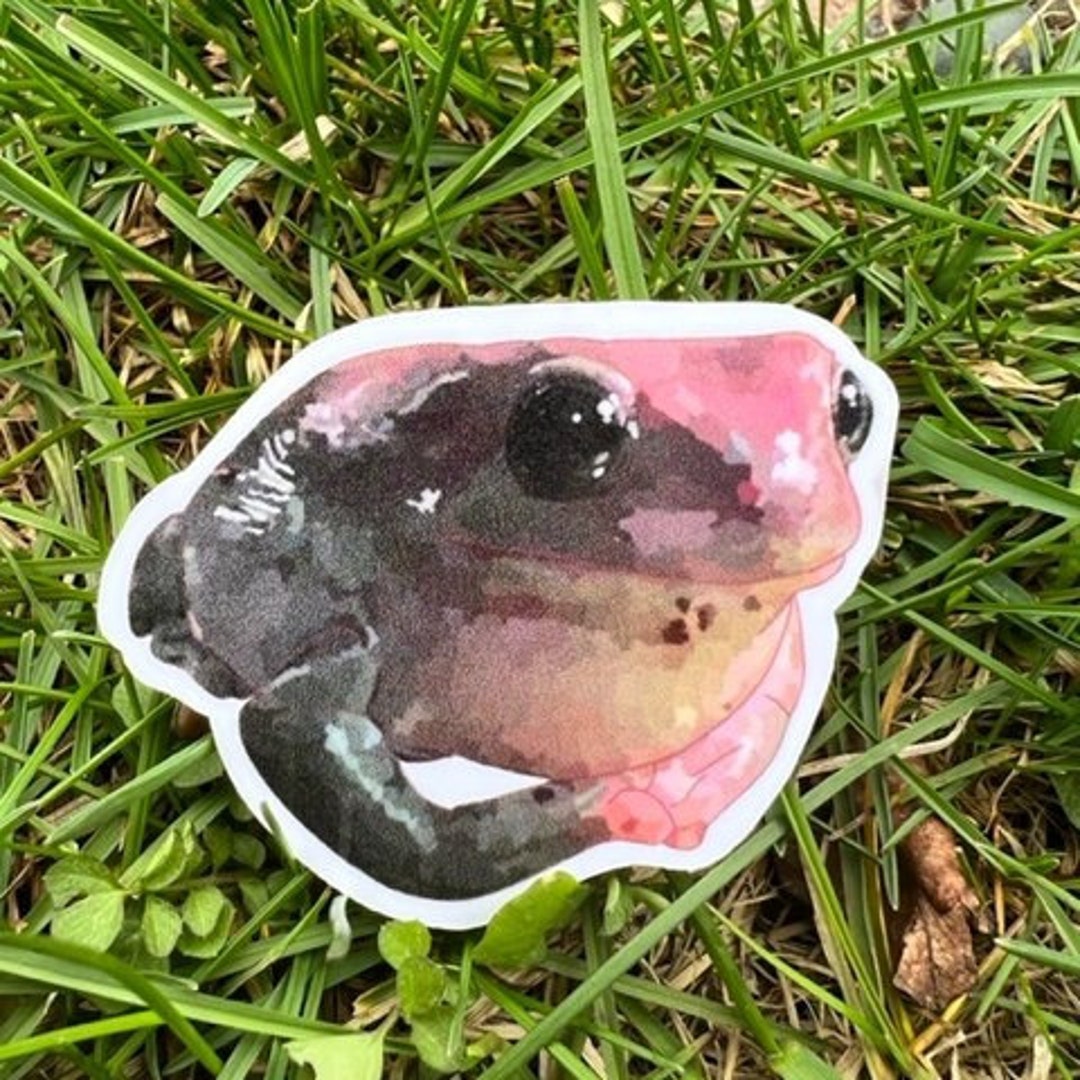 Frog | Toad | Sticker | Die Cut | Small | - Etsy