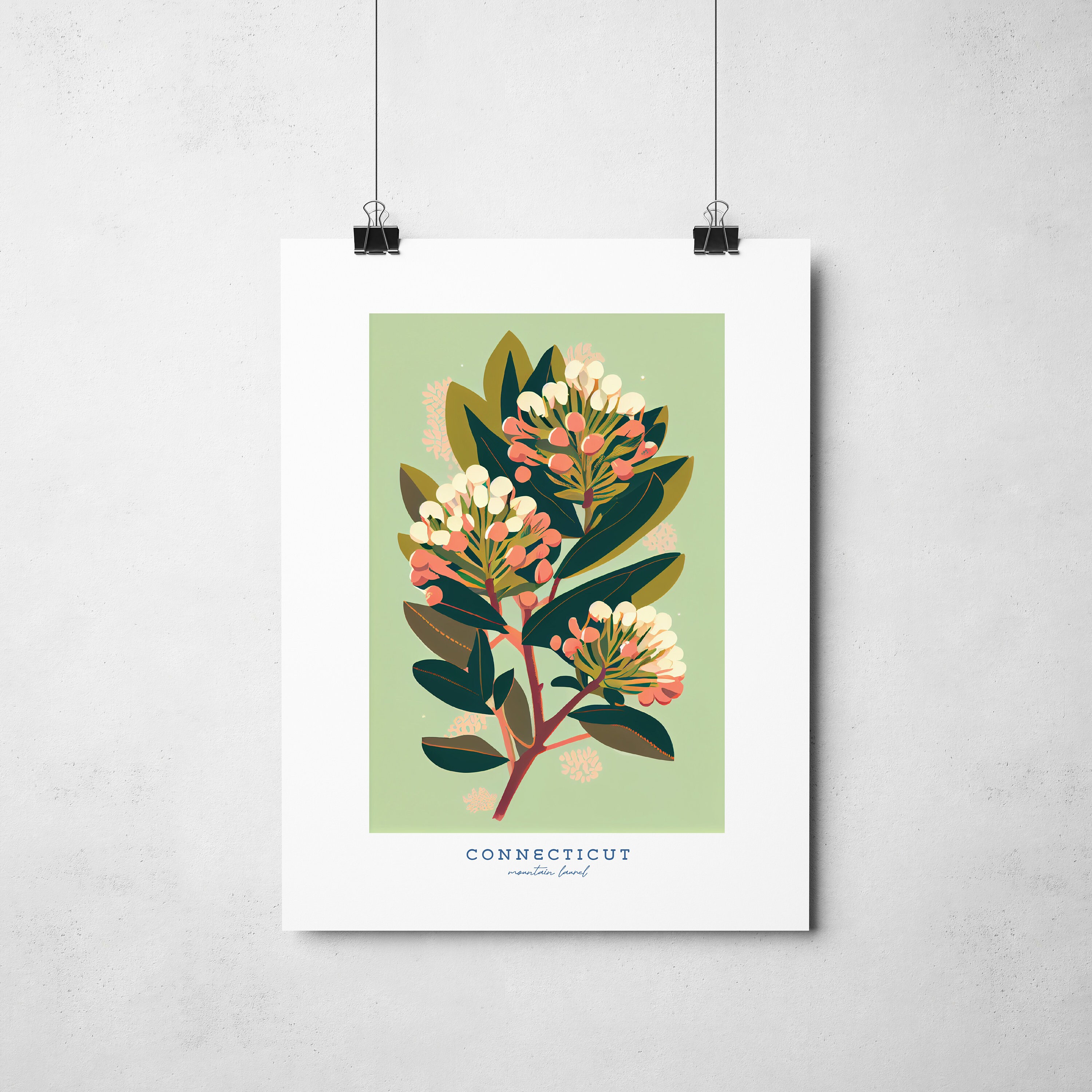 Connecticut State Flower, Mountain-laurel Flower, Mountain-laurel ...