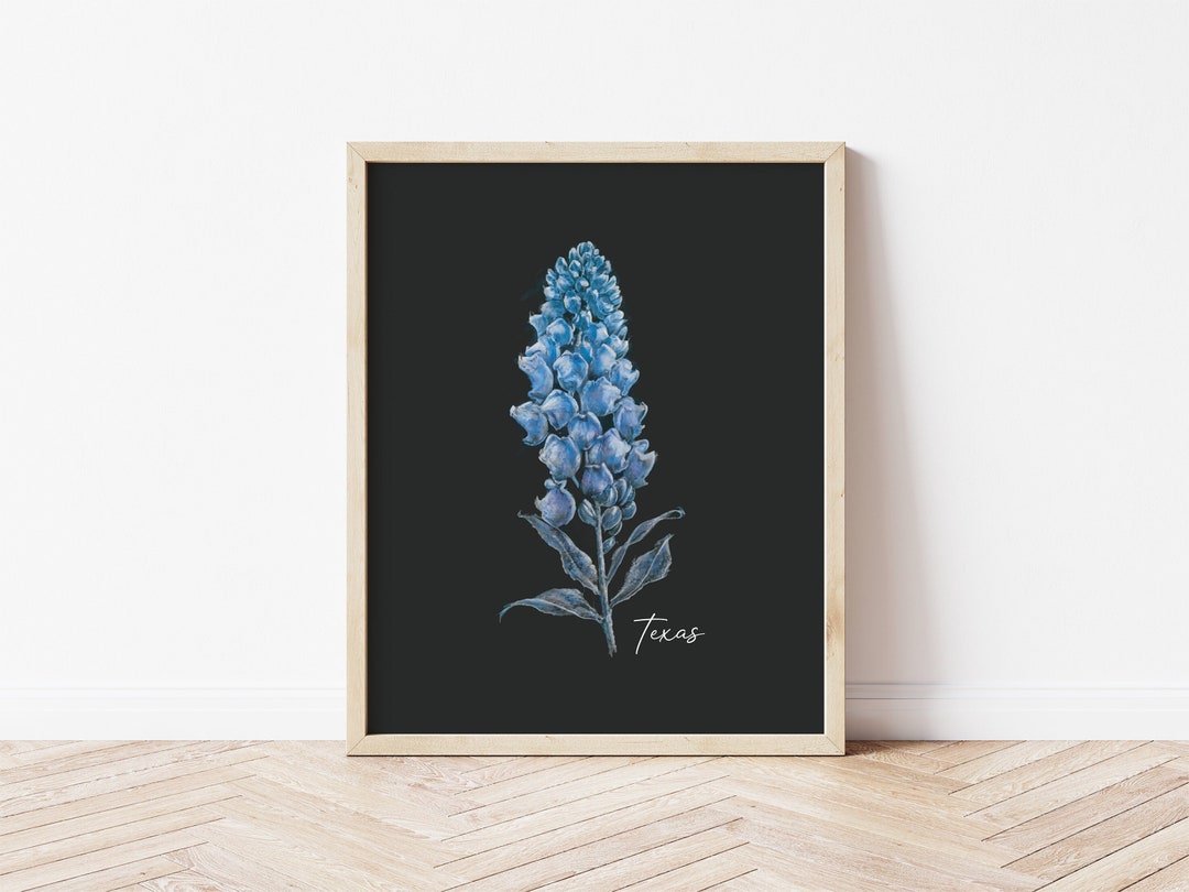 Texas State Flower, Bluebonnet Flower, Scratchboard Itching Style ...