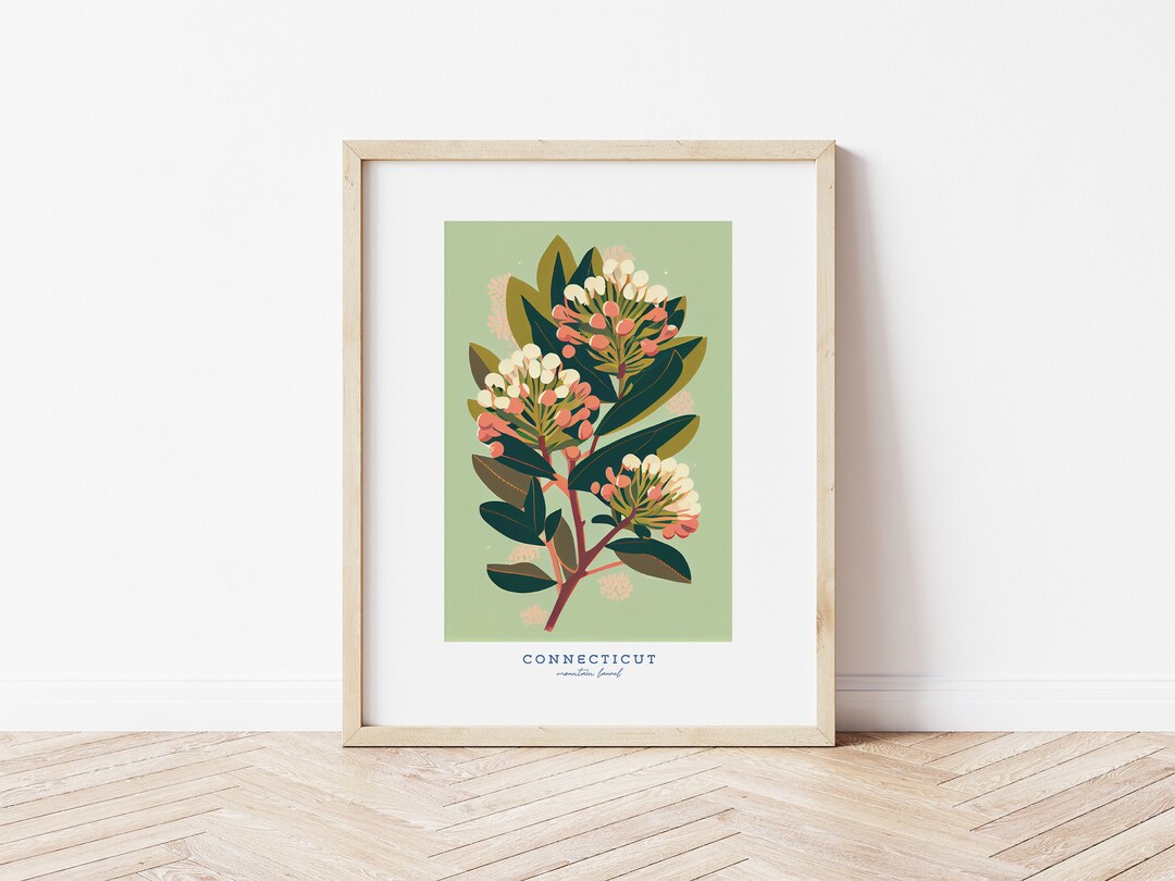 Connecticut State Flower, Mountain-laurel Flower, Mountain-laurel ...