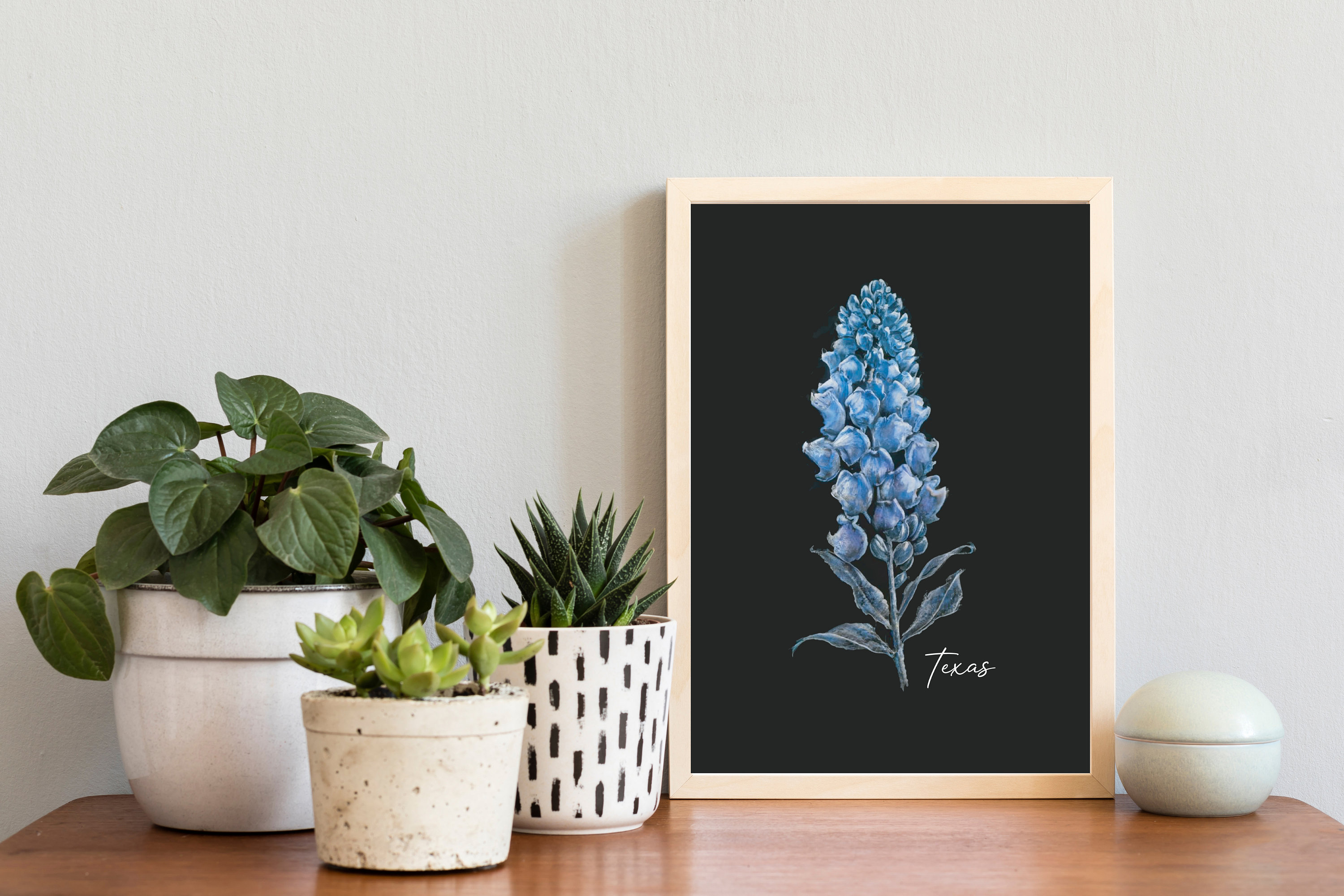 Texas State Flower, Bluebonnet Flower, Scratchboard Itching Style ...
