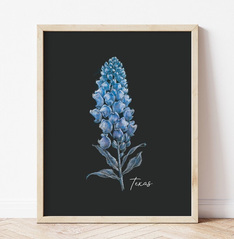 Texas State Flower, Bluebonnet Flower, Scratchboard Itching Style ...