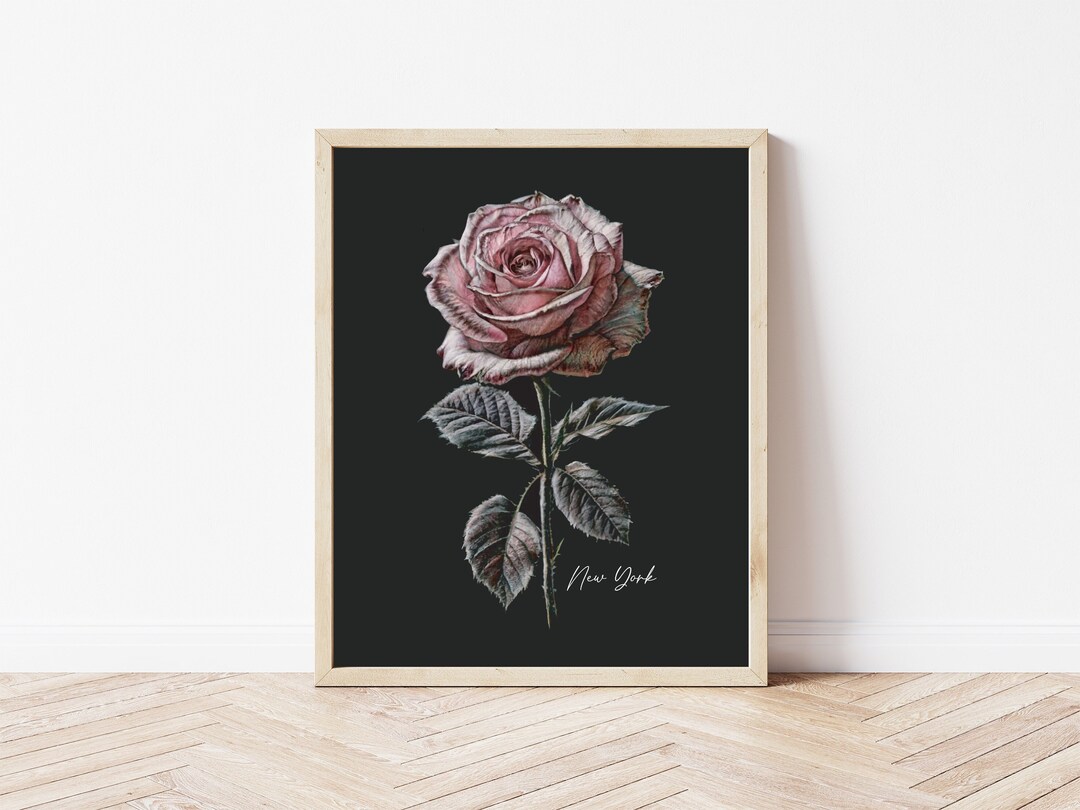 New York State Flower, Rose Flower, Scratchboard Itching Style, Digital ...