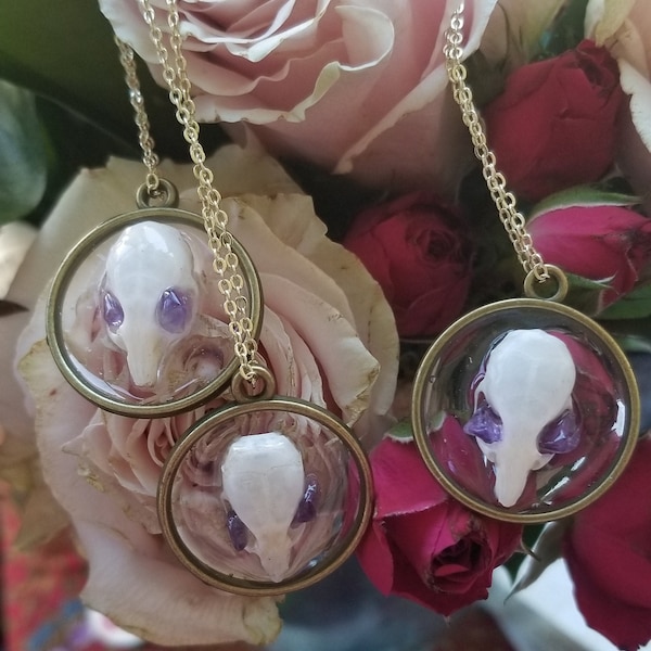 Taxidermy Jewelry - Etsy