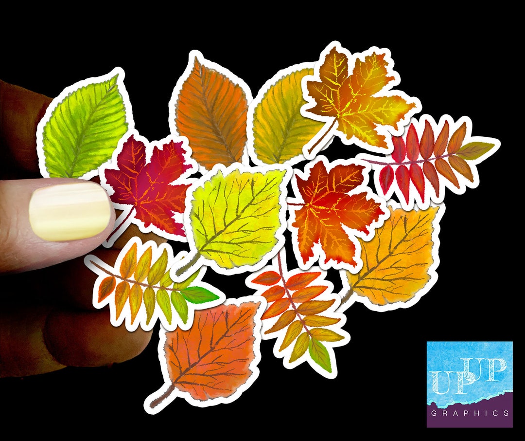 12 Fall Leaves Sticker Pack,vinyl Fall Leaves,maple,birch Autumn Colors ...