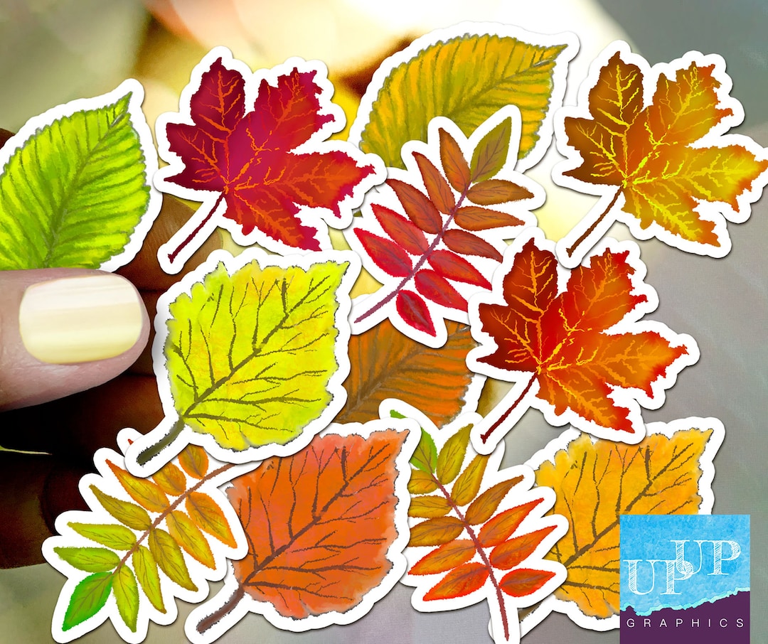 Fall Leaves Sticker Pack, Maple Leaves Stickers, 12 Vinyl Fall Leaves ...