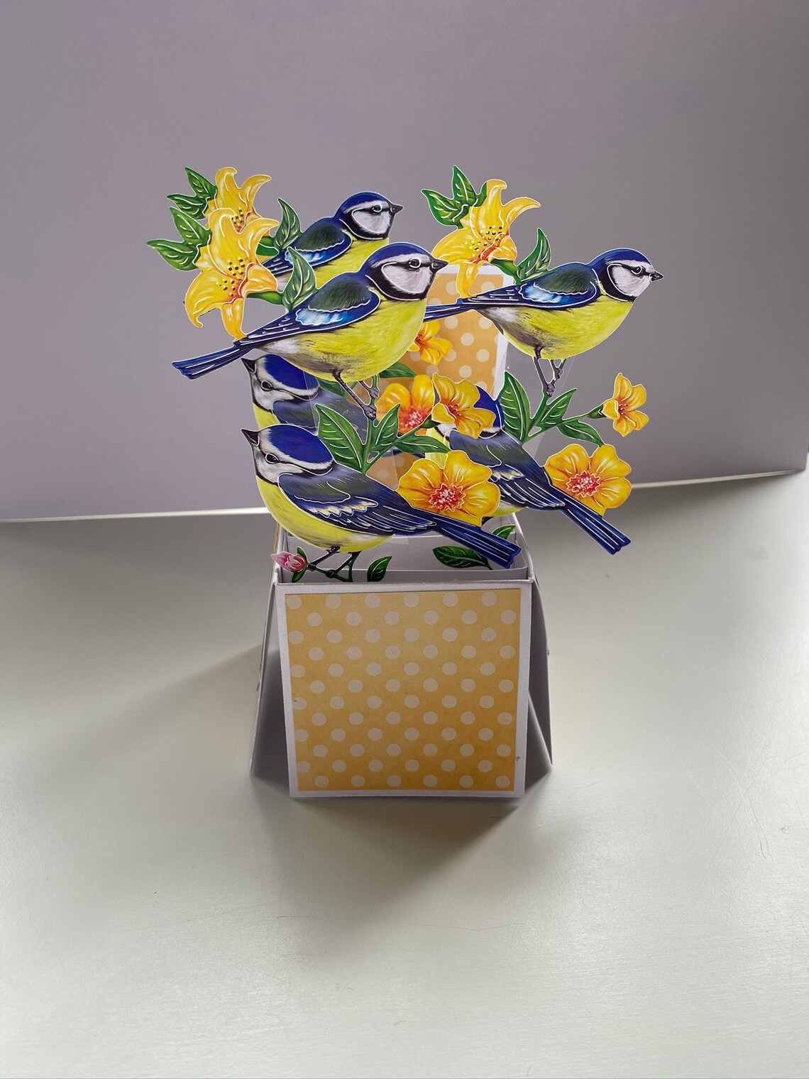 Bird pop up card | Etsy