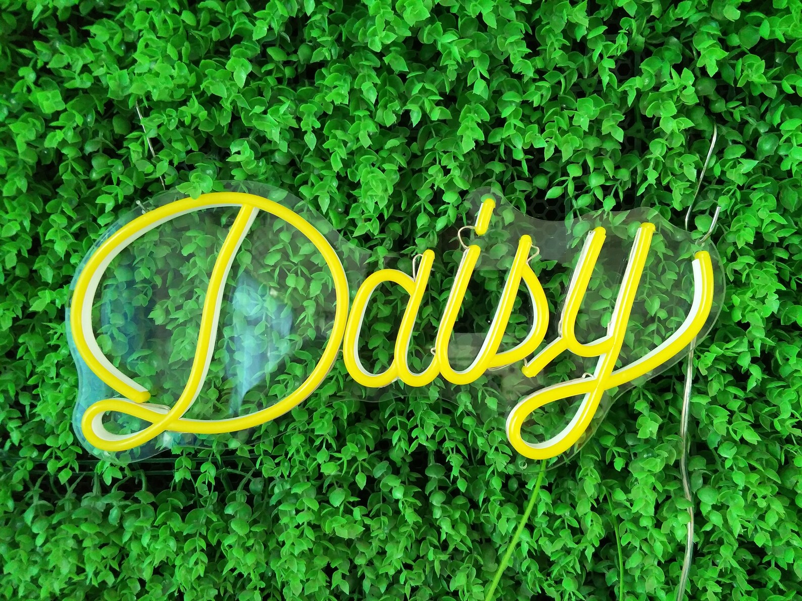 Daisy Name Sign Custom Name Neon Sign Wedding Party Customize LED Neon ...