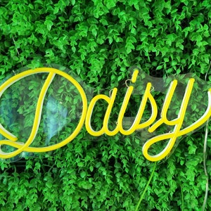 Daisy Name Sign Custom Name Neon Sign Wedding Party Customize LED Neon ...