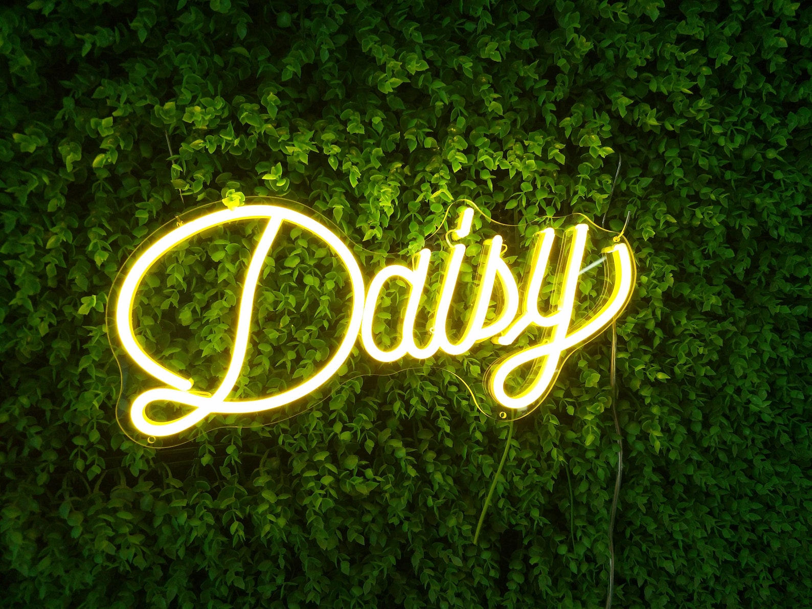 Daisy Name Sign Custom Name Neon Sign Wedding Party Customize - Etsy UK