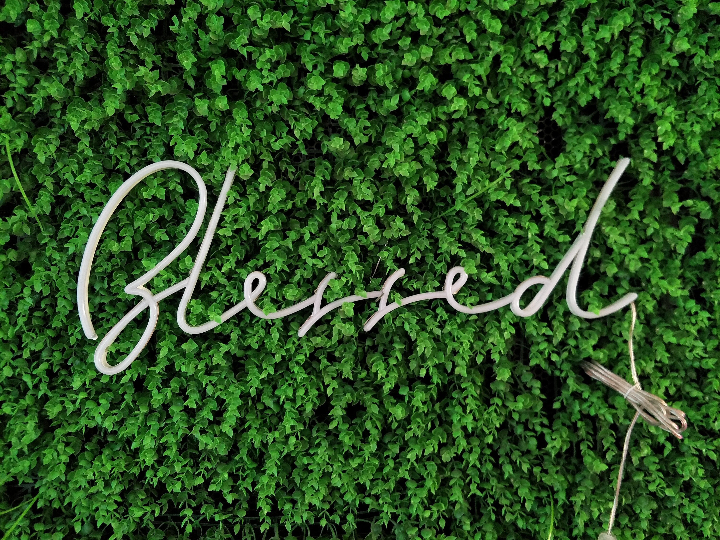 Blessed Custom Neon Sign Party Neon Light Name Sign Flex LED Text Neon ...