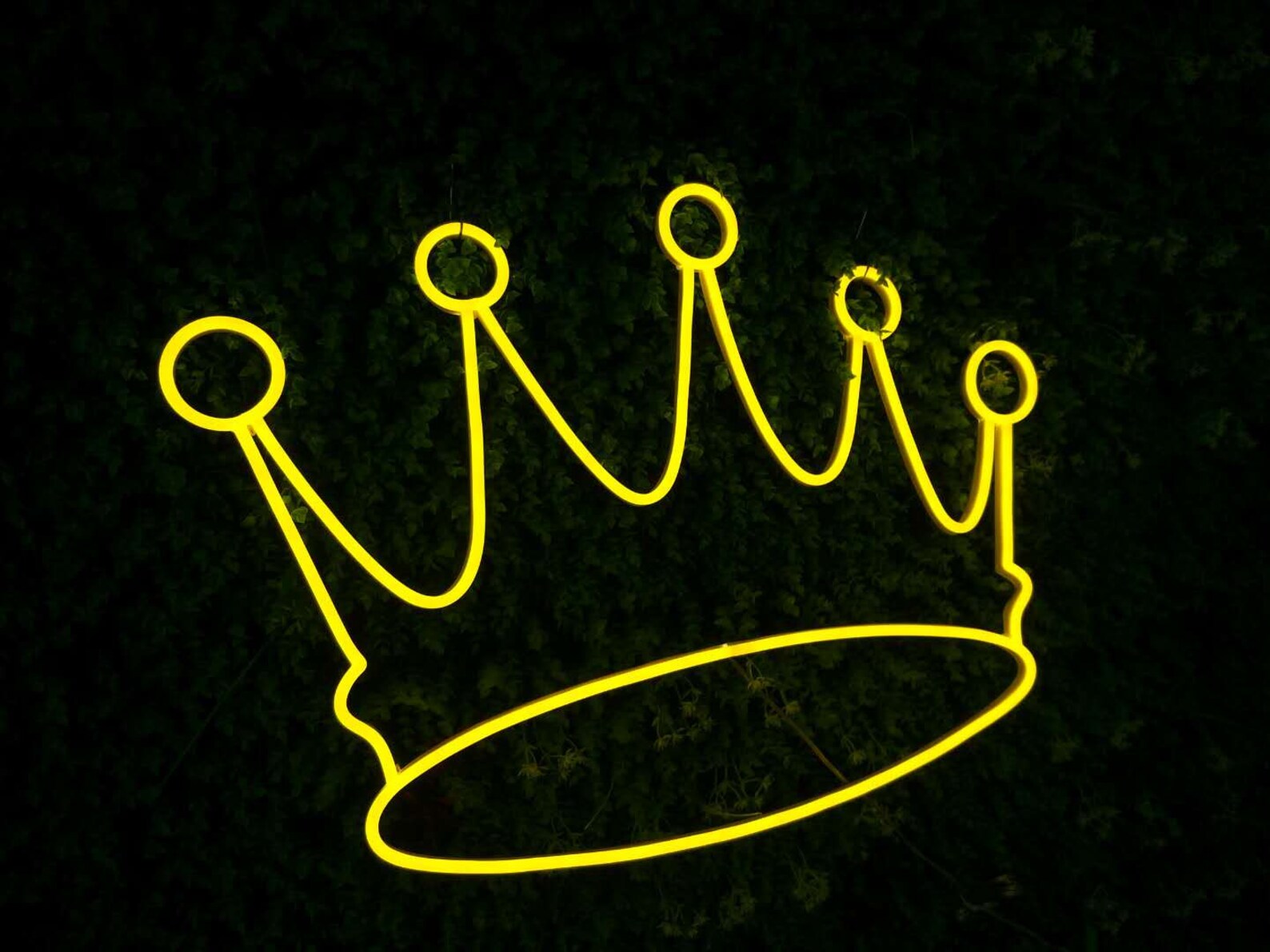 Crown Party Neon Sign Custom Neon Light Flex Led Text Neon | Etsy