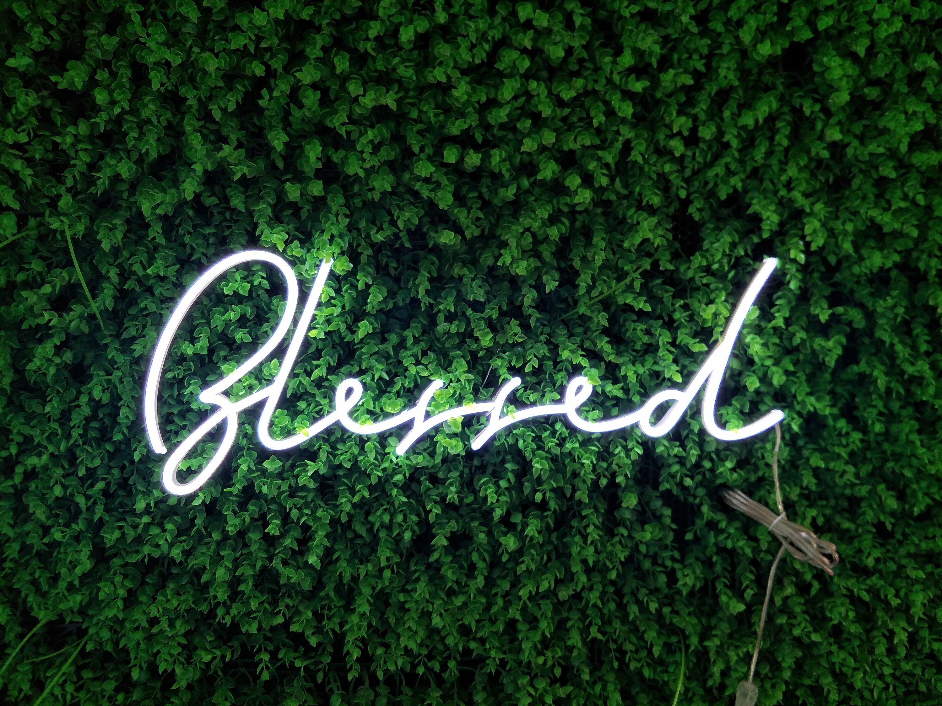 Blessed Custom Neon Sign Party Neon Light Name Sign Flex LED Text Neon ...