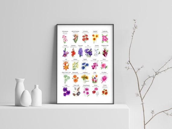 Alphabet of Flowers DIGITAL DOWNLOAD Watercolour ABC A | Etsy