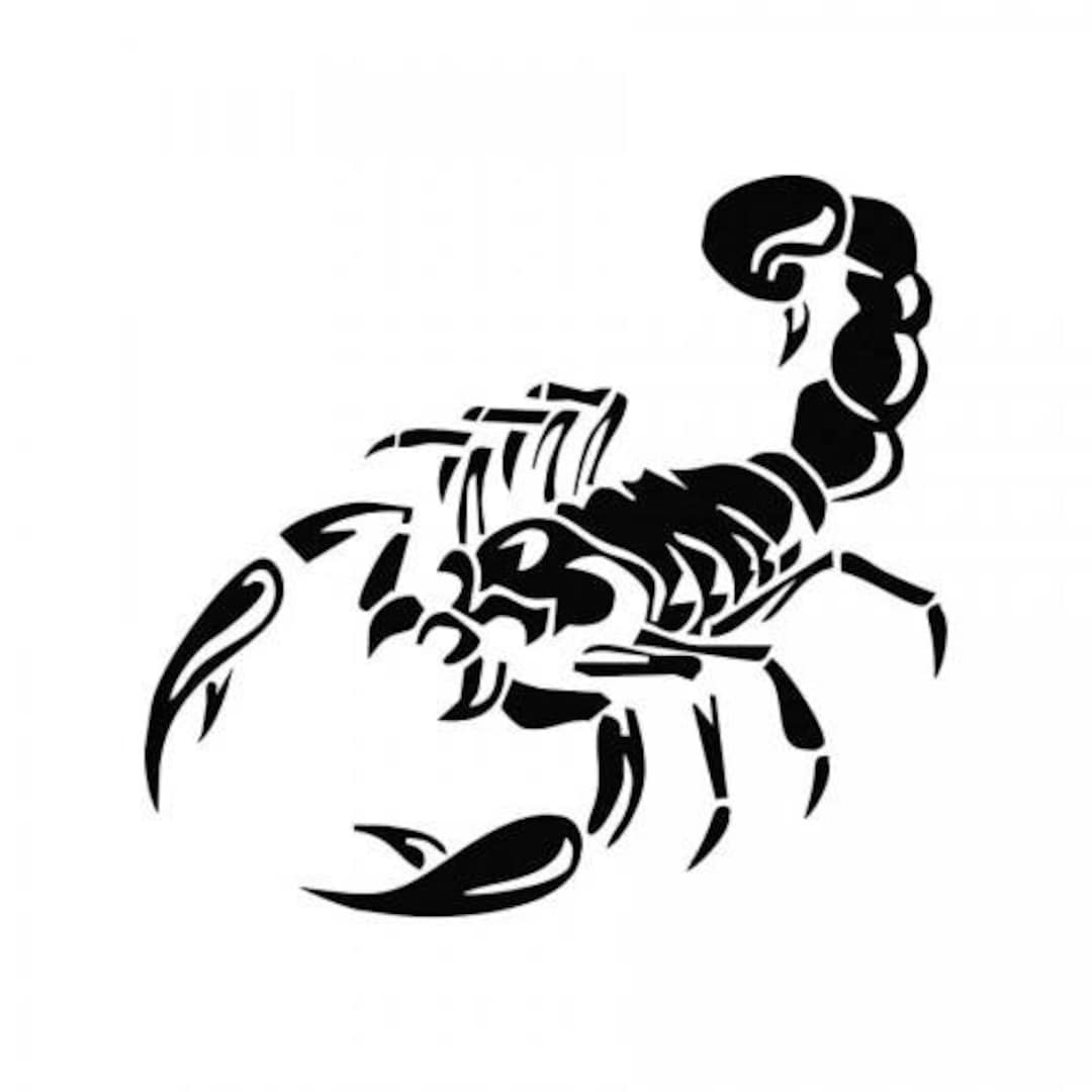 Scorpion Decal/vinyl Stickers& Decals for Cars/vinyl Decal/laptop ...