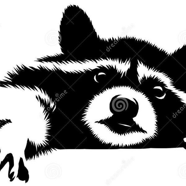 Raccoon Decals Windows - Etsy