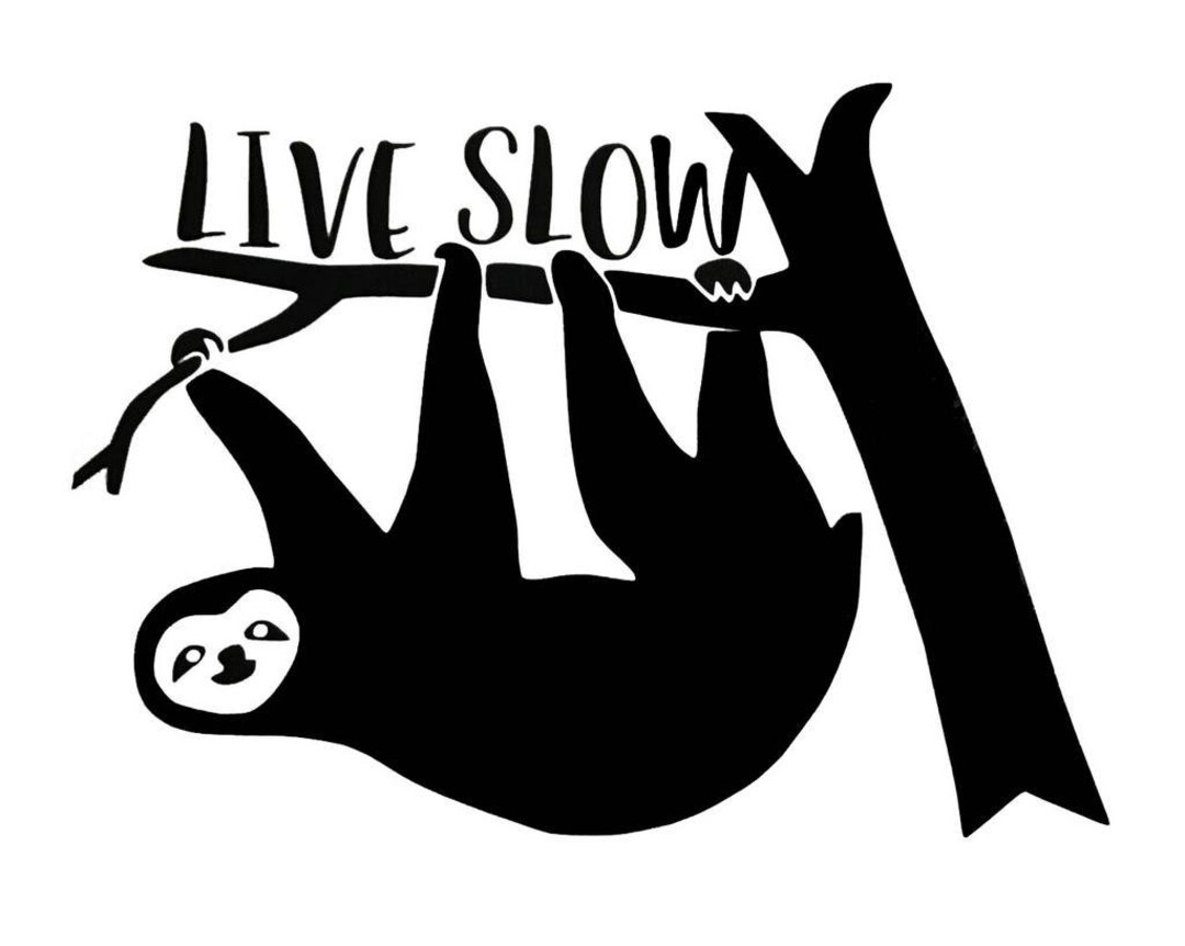 Vinyl Stickers & Decals for Cars/car Sticker. Vinyl Decal/ Live Slow ...