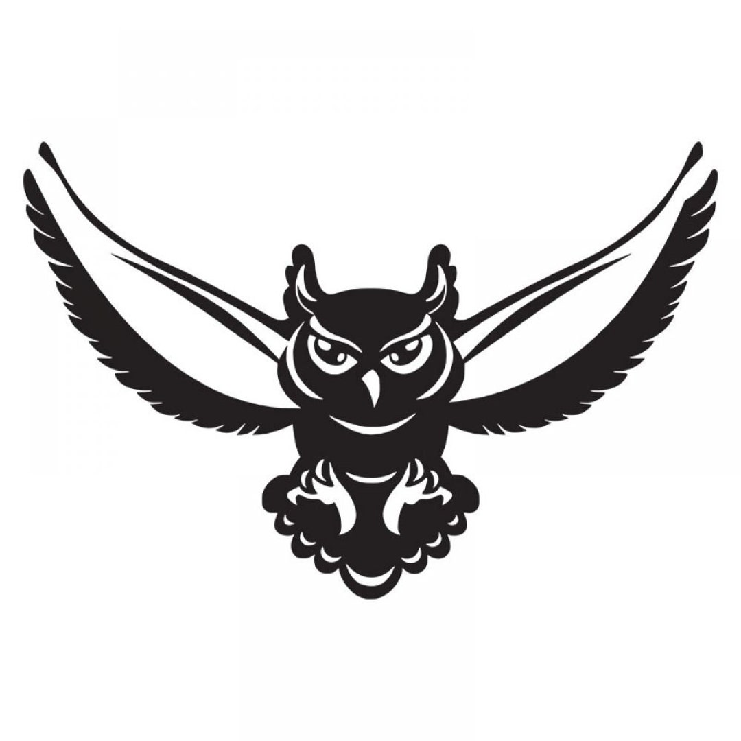 Decal Owl Sticker/vinyl Stickers& Decals for Cars/vinyl Decal/bumper ...