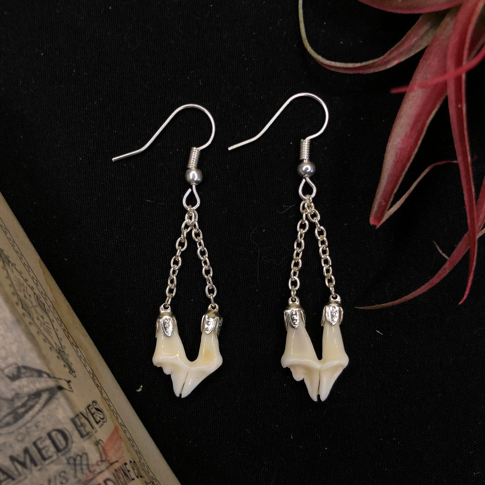 Dangle Teeth Earrings Real Bone Jewelry Goth Gothic Style Punk | Etsy