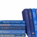 Blue Decorative Book Stack: Modern Hardback Books for Staging - Etsy