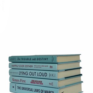 Light Blue Books - Decorative Books - Staging Books - Bookcase Decor ...