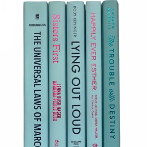 Light Blue Books - Decorative Books - Staging Books - Bookcase Decor ...