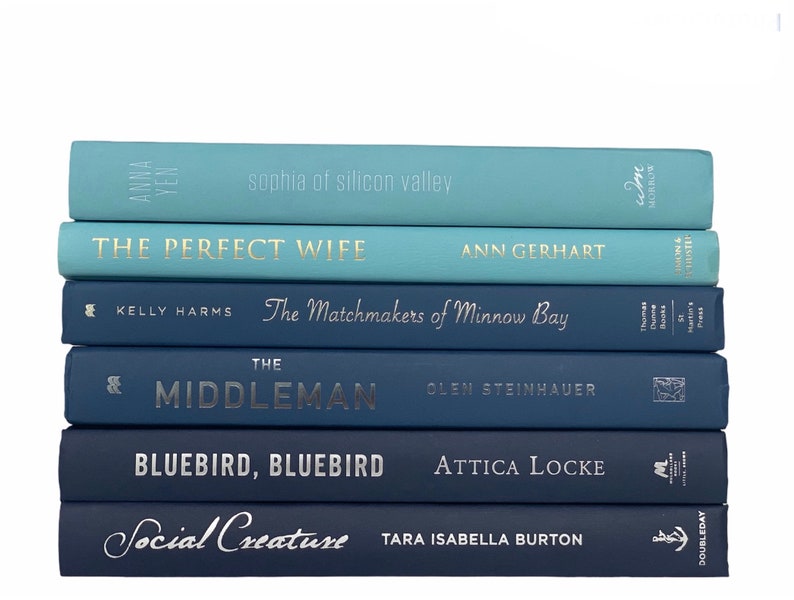 Blue Books Coastal Books Beach Books Decorative Books - Etsy