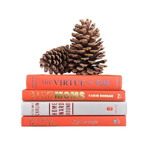 Orange Books, Fall Book Stack, Bookshelf Decor, Decorative Books ...