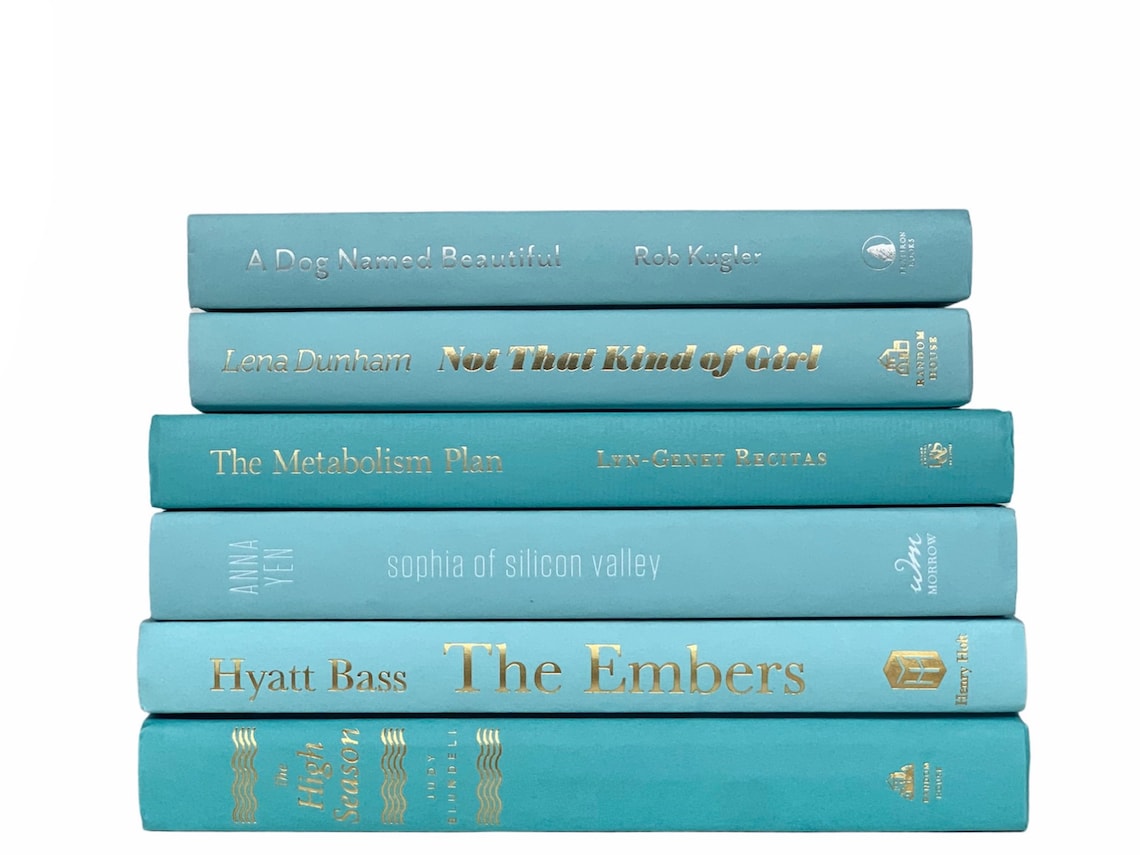 Light Blue Books Coastal Books Beach Books Decorative | Etsy