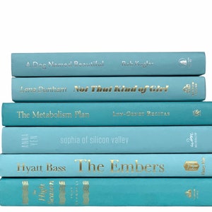 Light Blue Books Coastal Books Beach Books Decorative - Etsy