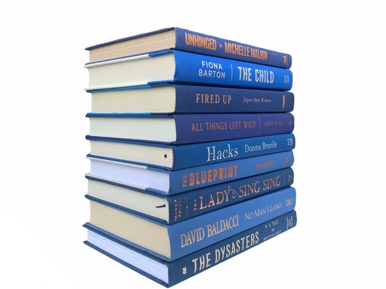 Blue Books Decorative Books Staging Books Stack of Books - Etsy