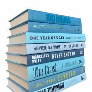 Blue and Gray Books - Beach House Books - Coastal Books - Decorative ...