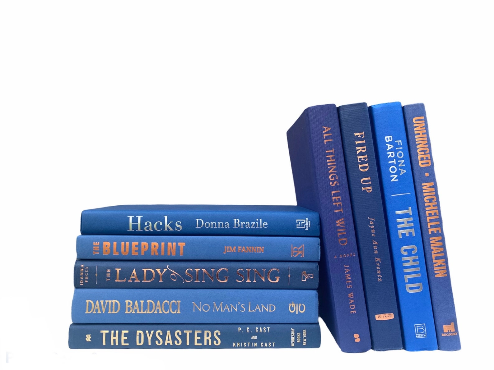 Blue Books Decorative Books Staging Books Stack of Books - Etsy