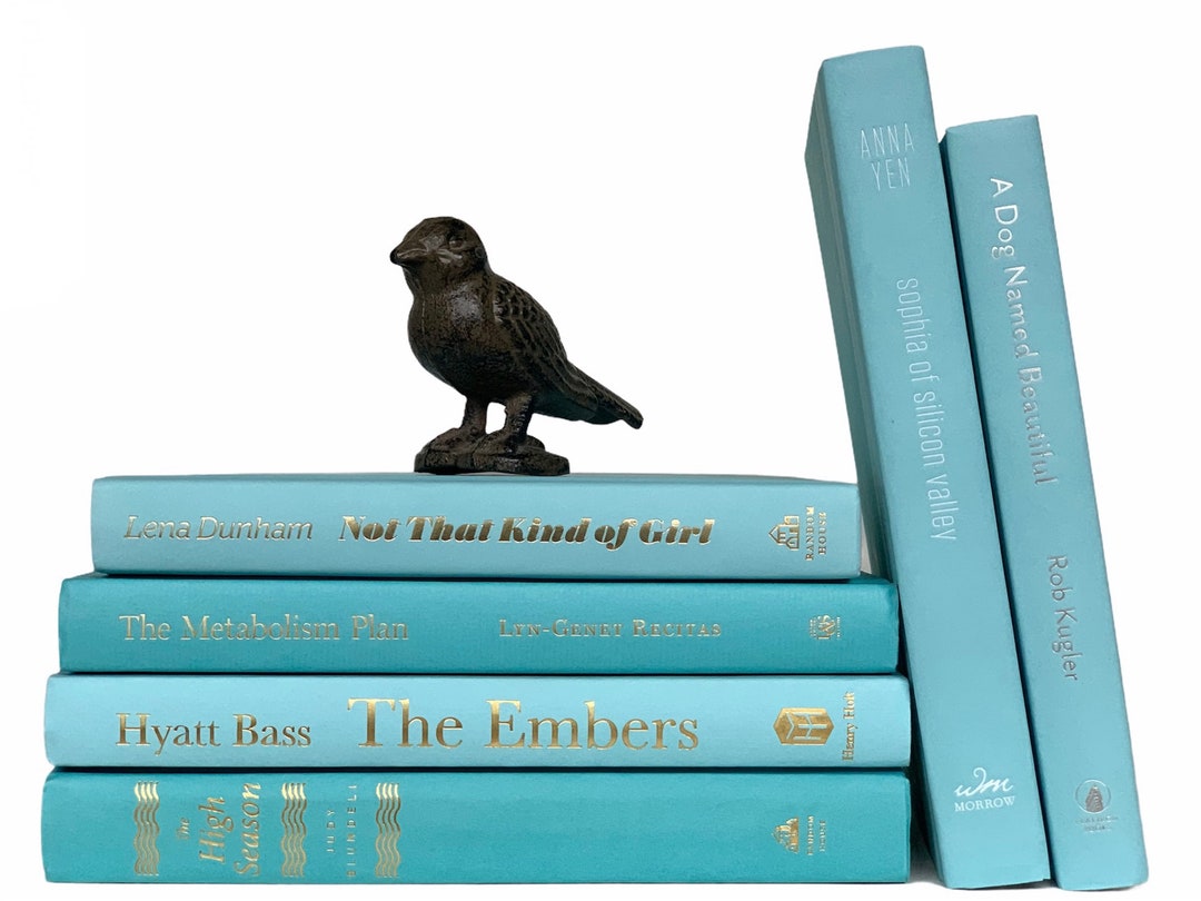 Light Blue Books Coastal Books Beach Books Decorative - Etsy
