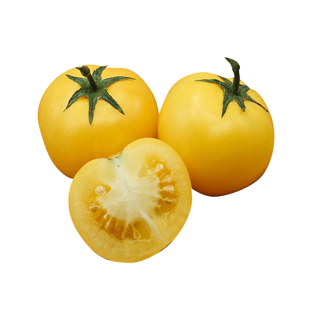 Yellow Perfection Tomato - Heirloom 20 Seeds - Etsy