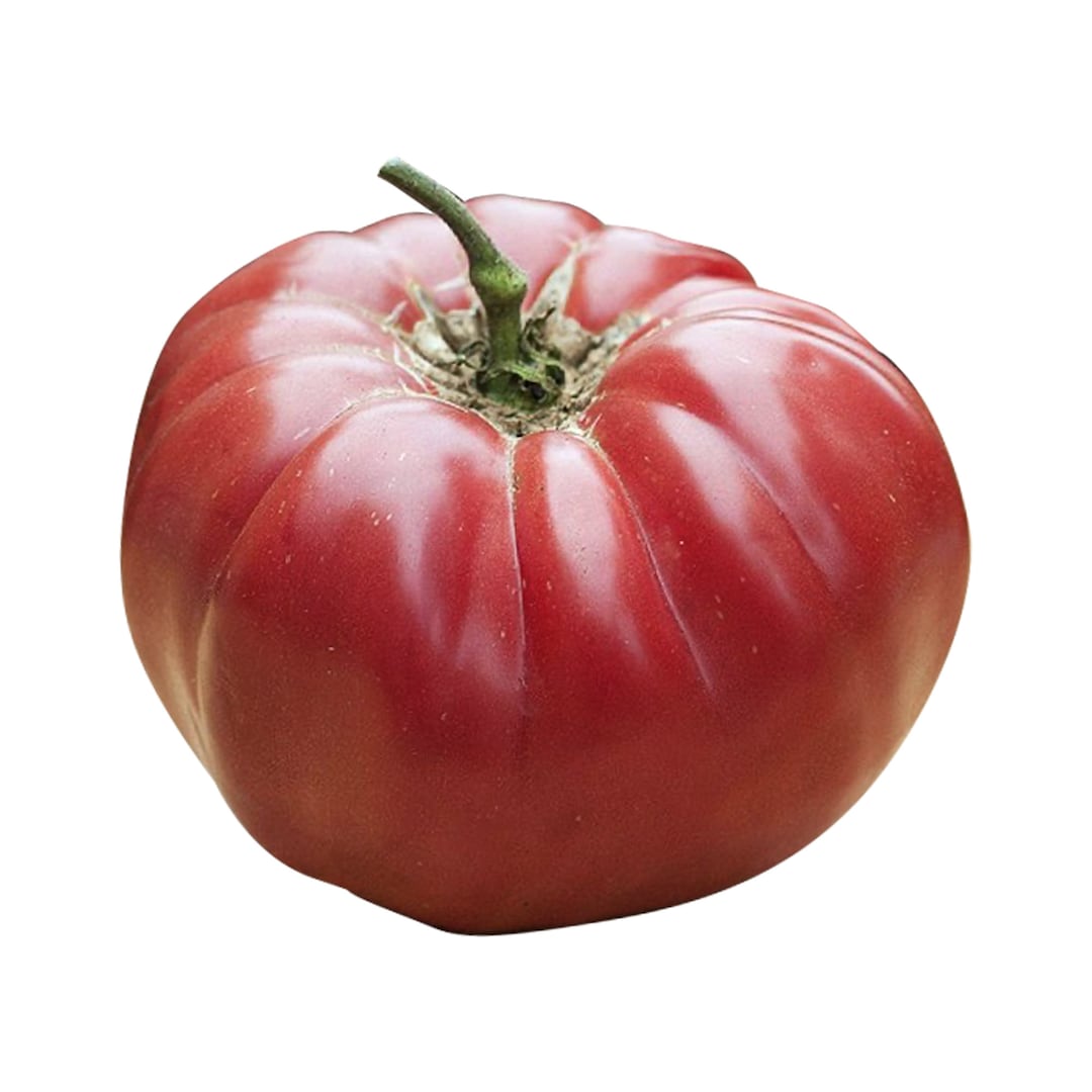 Caspian Pink Tomato RARE Heirloom 10 Seeds - Etsy