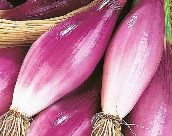 Heir Seeds: No pesticides, No fertilizers, Non-GMO, Non-hybrid, ...just ...