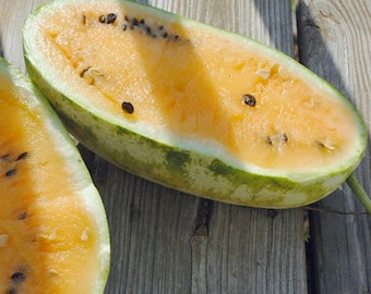 Rare Watermelon Seeds | Etsy