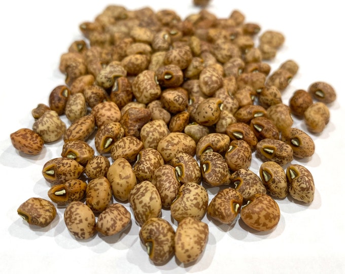 Sea Island Red Peas Sapelo Island Peas Seed Packet - Etsy