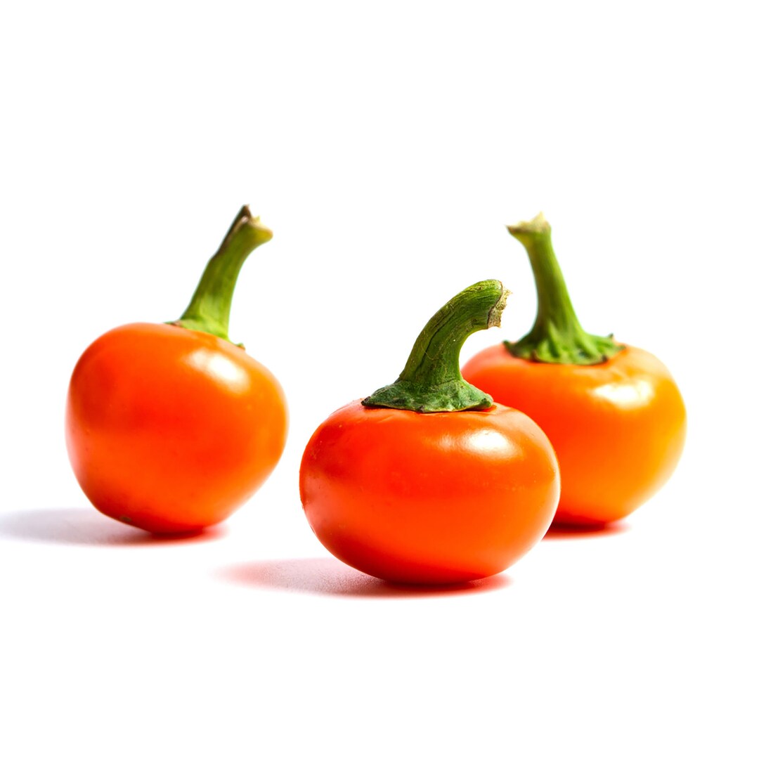 Cherry Bomb Hot Pepper - Heirloom 10 Seeds - Etsy