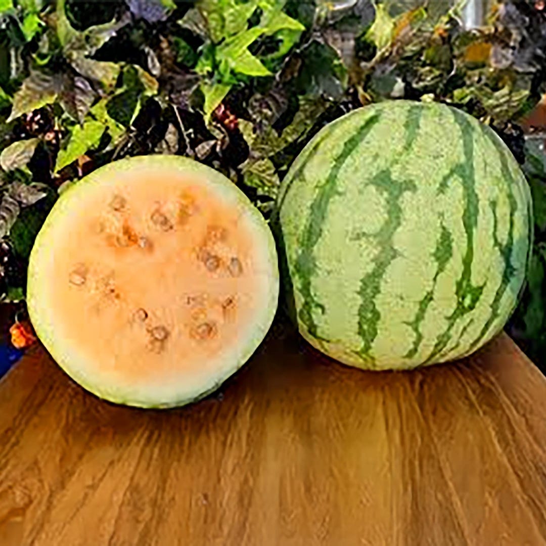 Clay County Yellow Meated Watermelon - RARE Heirloom 10 Seeds - Etsy