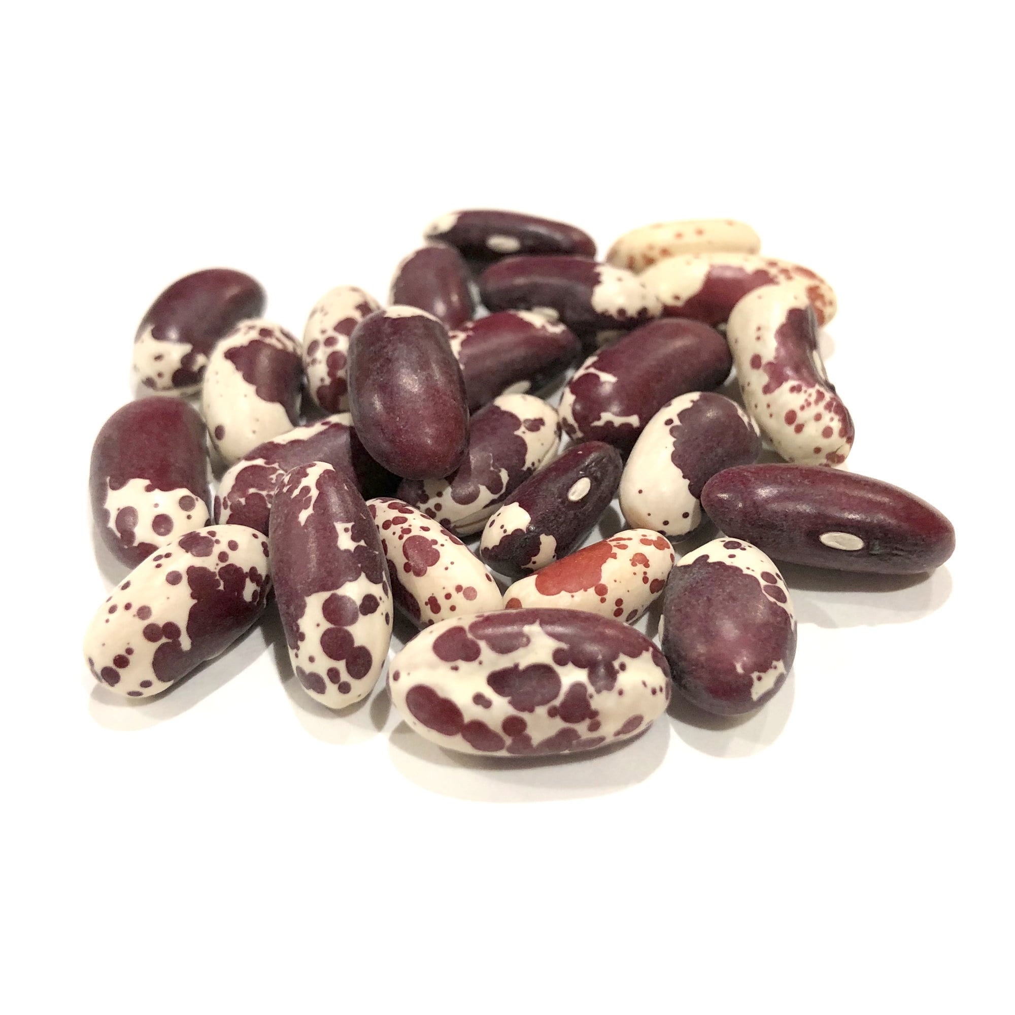 Appaloosa Bean - Heirloom 15 seeds