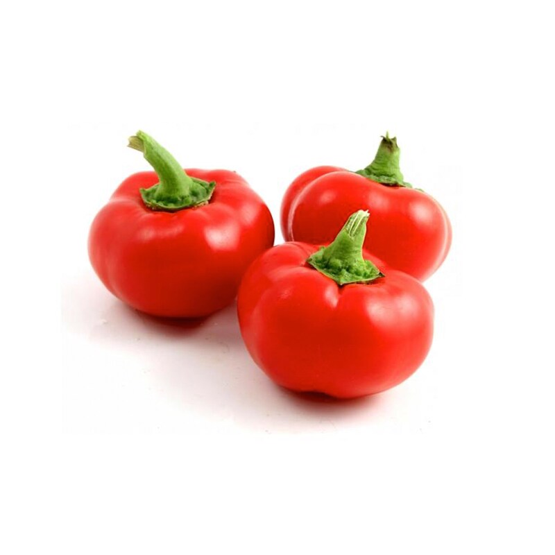 Pimento Pepper Plant - Etsy