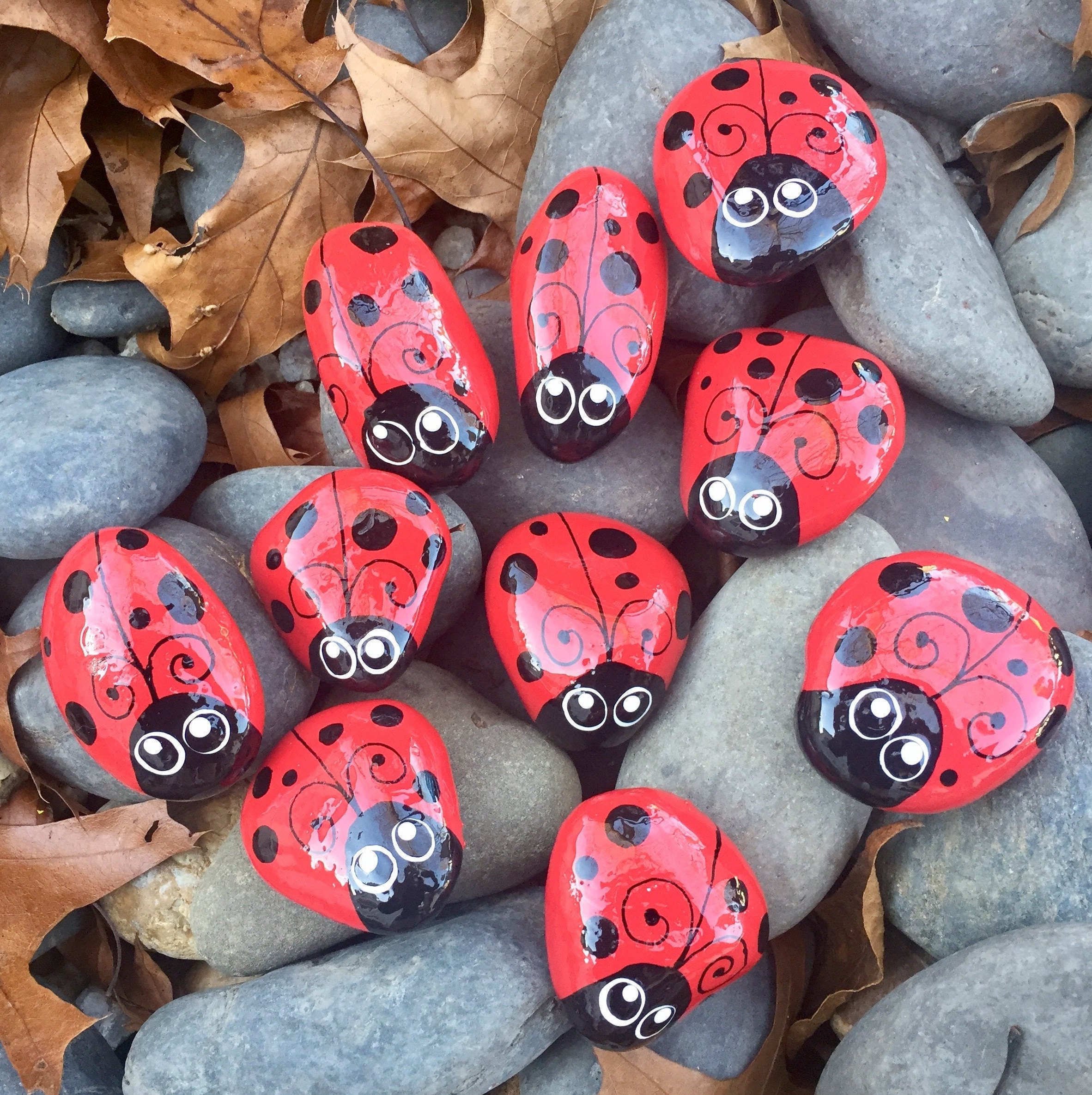 10 (2 1/2 to 3 Inch) Red Ladybug Rocks, Garden Decor, Ladybug Rocks for ...