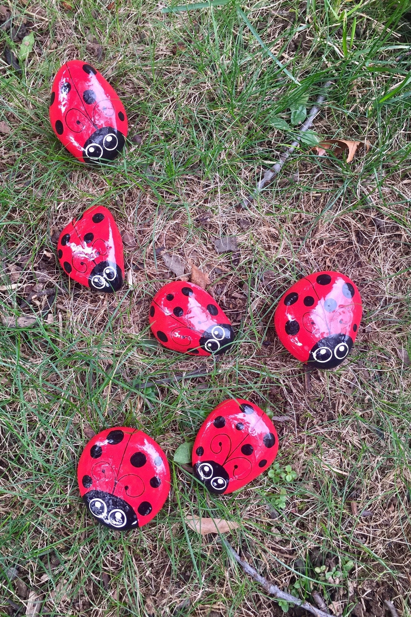 6 Large 3 1/2 to 4 Inch Red Ladybug Rocks Garden Decor | Etsy