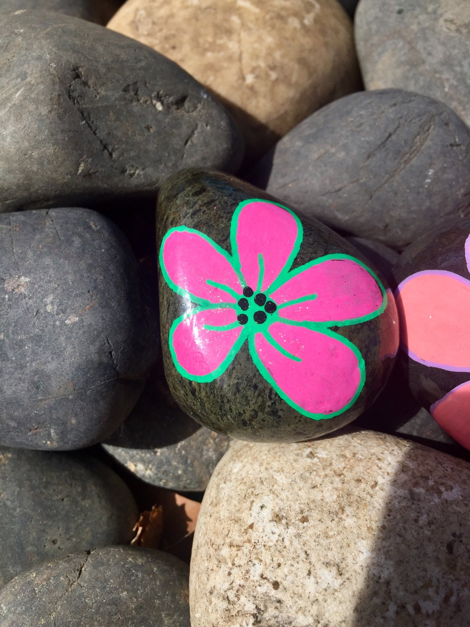 Set of 10 Pretty Bright Flower Rocks for Garden as Kindness - Etsy